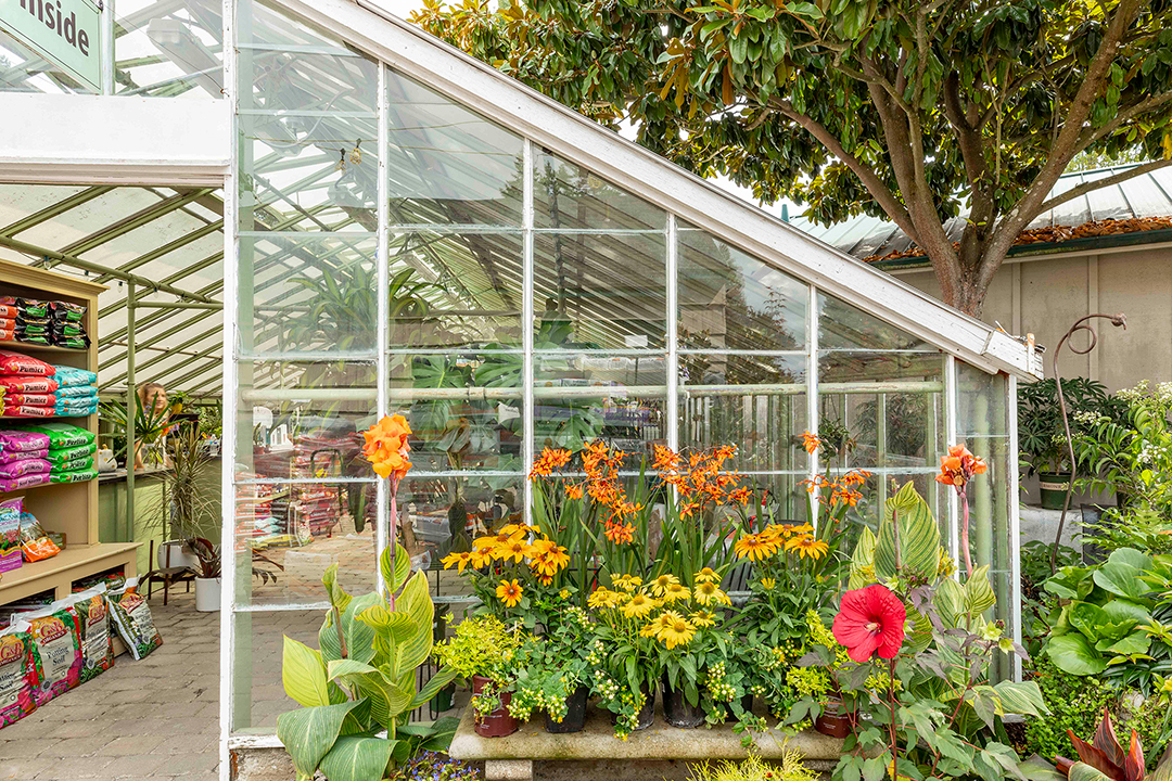 Greenhouses Garden Center