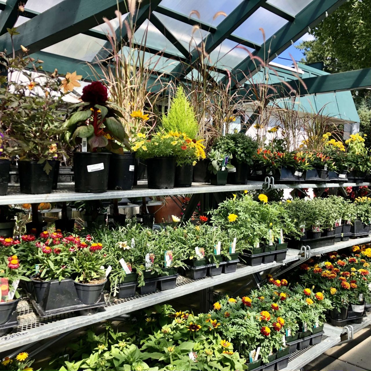 Portland Garden Center | A Portland Plant Nursery | Drake's 7 Dees
